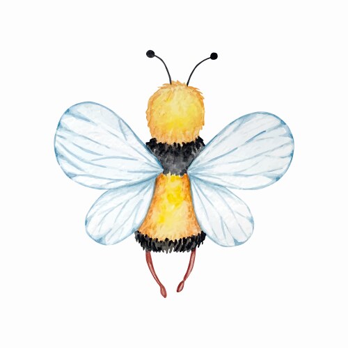 Colorful bee watercolor in beautiful style hand Vector Image