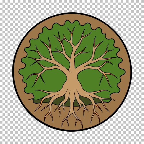 Tree roots frame isolated on transparent Vector Image