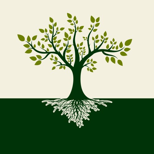 Tree Roots Texture Vector Images (over 820)