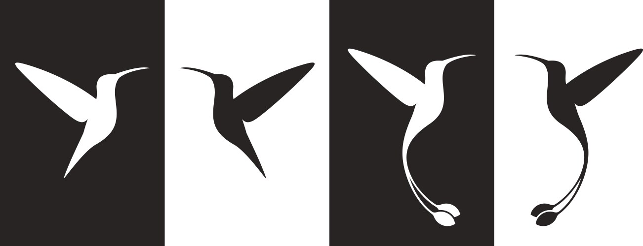 Salak Royalty Free Vector Image - VectorStock