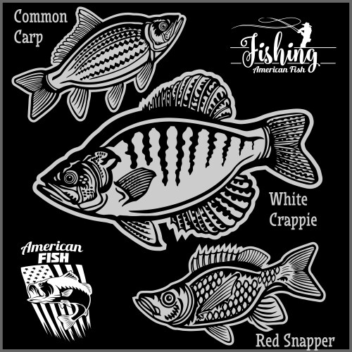 Crappie Vector Images (over 250)