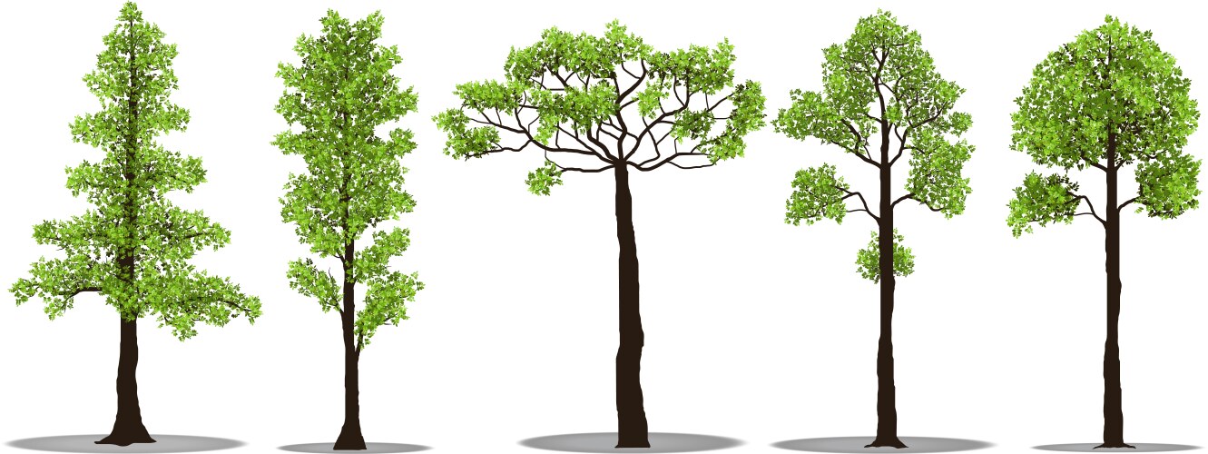 Roots Tree Brown Vector Images (over 1,200)