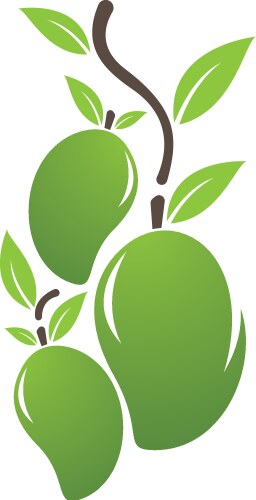 Mango logo flat design Royalty Free Vector Image