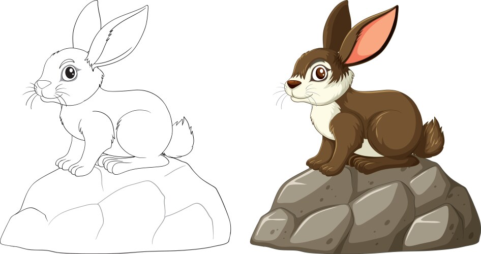 Rabbit Sitting Vector Images (over 7,000)
