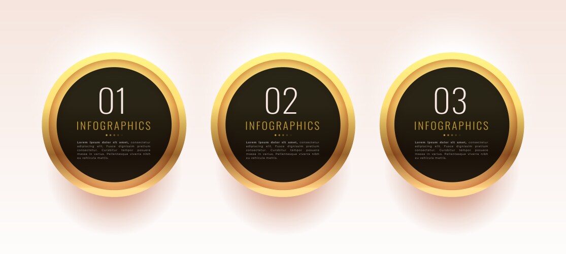 Three step infographic timeline diagram banner Vector Image