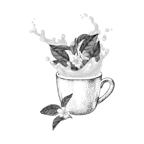 Splash in a cup coffee Royalty Free Vector Image