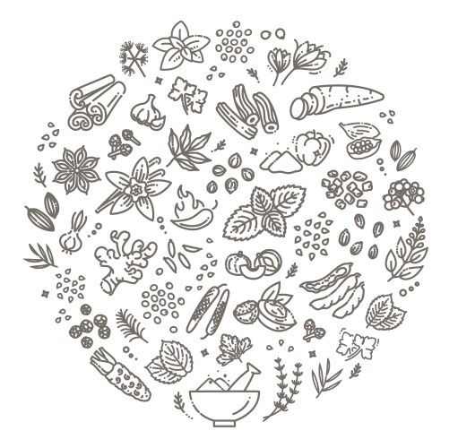 Indian spices condiment icons set Royalty Free Vector Image