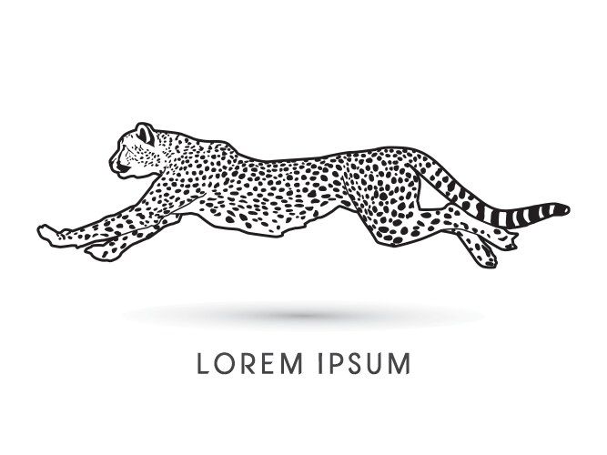 Cheetah Outline Vector Images (over 3,300)