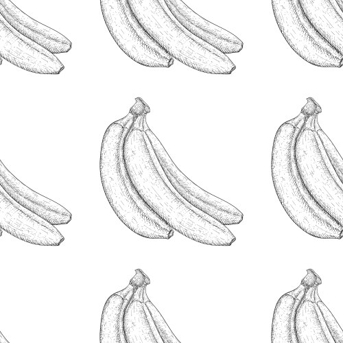 Bananas isolated on white Royalty Free Vector Image