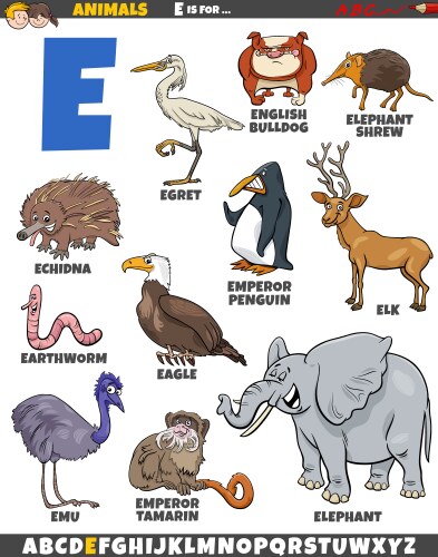 Animal Letter E Vector Images (over 1,200)