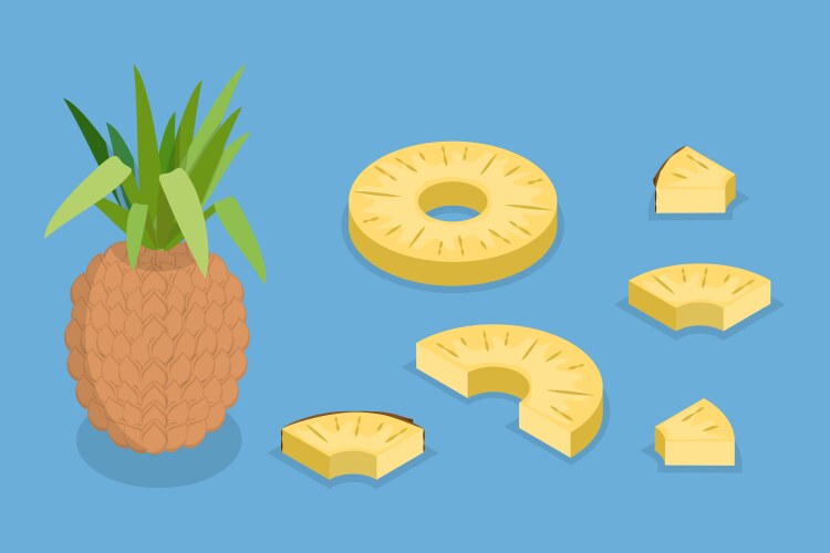 Pineapple Chunk Vector Images (over 160)