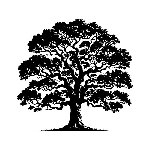 Oak Tree Silhouette Vector Images (over 23,000)