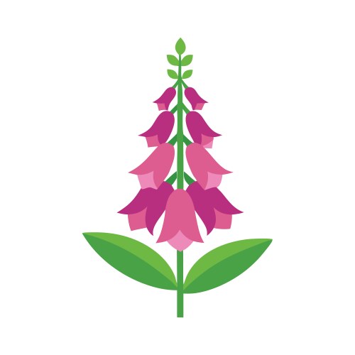 Foxglove Vector Images (over 400)
