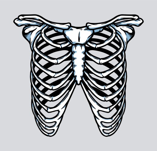 Anatomy Vector Images (over 220,000)