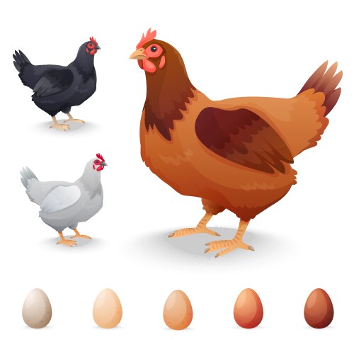 Hens Vector Images (over 42,000)