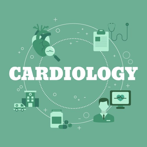 Human heart cardiology concept Royalty Free Vector Image