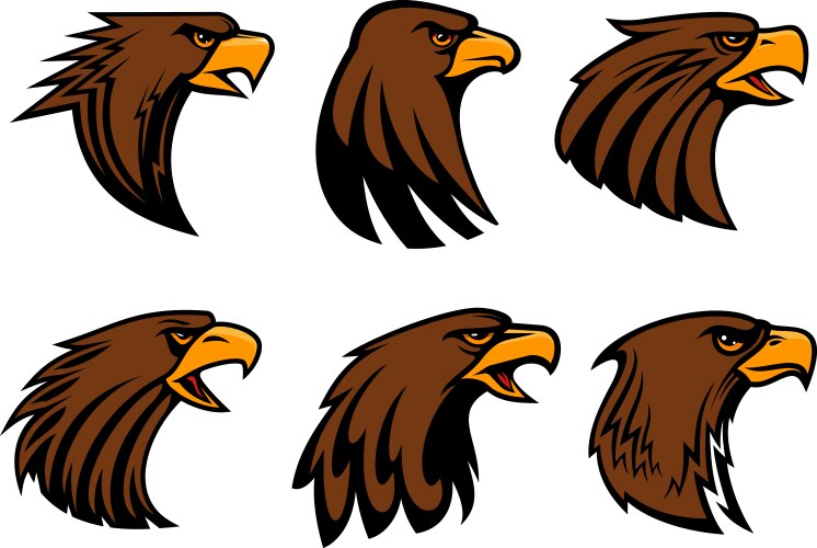 Hawk Head Vector Images (over 14,000)