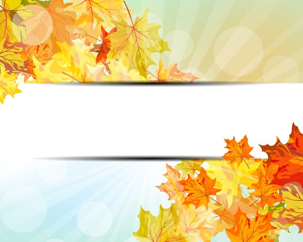 Wooden sign with autumn maple tree leaves Vector Image