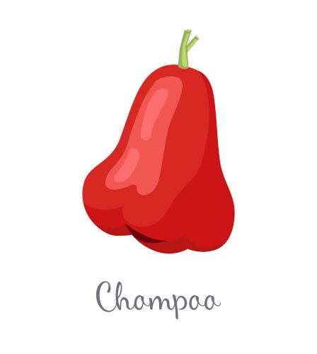 Champoo exotic juicy fruit isolated java Vector Image