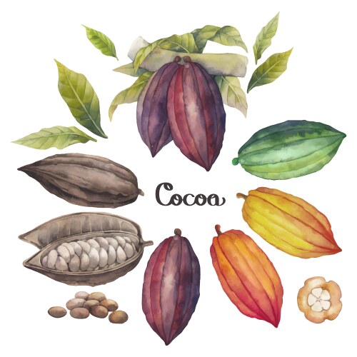 Cocoa Vector Images (over 50,000)