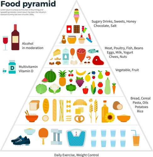 Food pyramid chart Royalty Free Vector Image - VectorStock