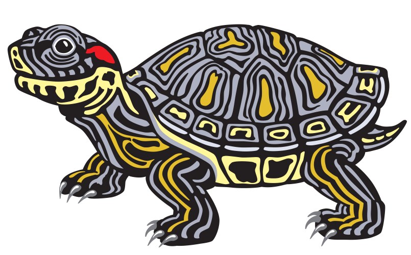 Turtle Vector Images (over 37,000)