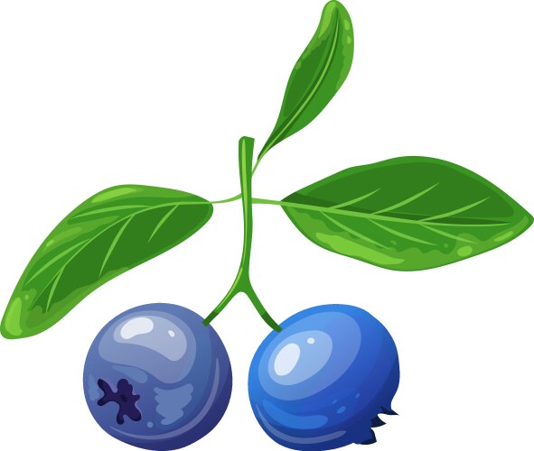 Blueberry Cartoon Vector Images (over 10,000)