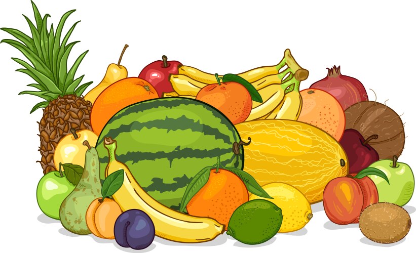 Set of mixed fruit Royalty Free Vector Image - VectorStock
