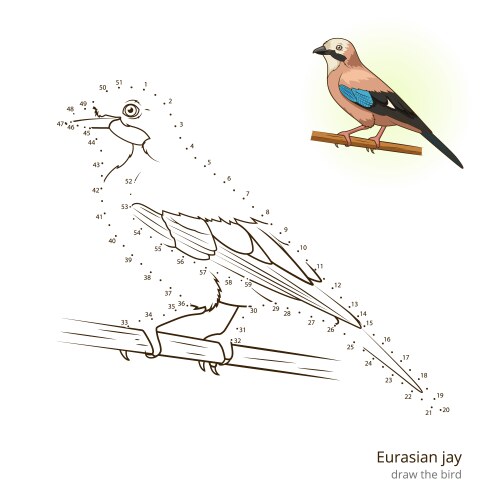 Eurasian jay bird play icon Royalty Free Vector Image