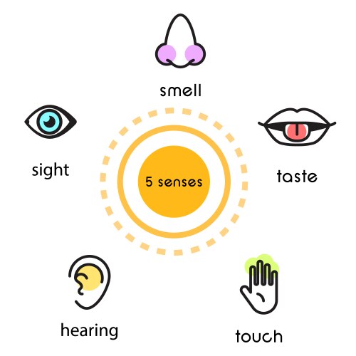 Five senses of human perception poster icons Vector Image