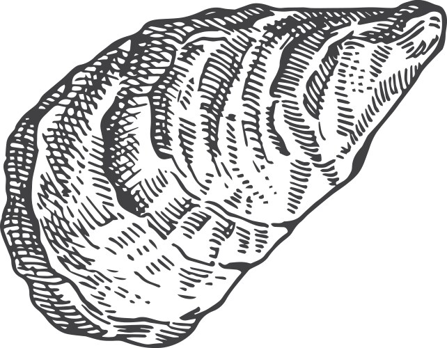 Oyster Vector Images (over 16,000)