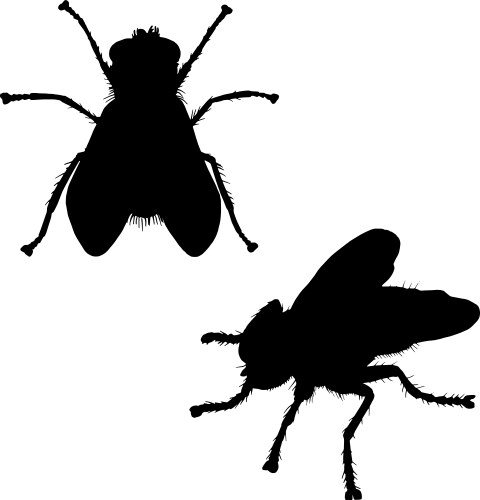 Fly Insect Silhouette Vector Images (over 29,000)