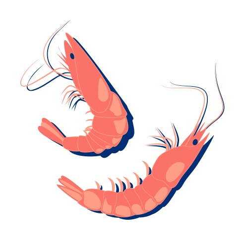 Shrimp Cartoon Vector Images (over 8,700)