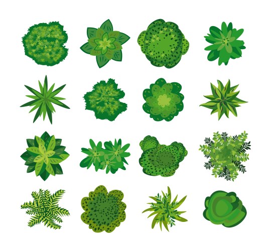 Plants Top View Vector Images (over 9,700)
