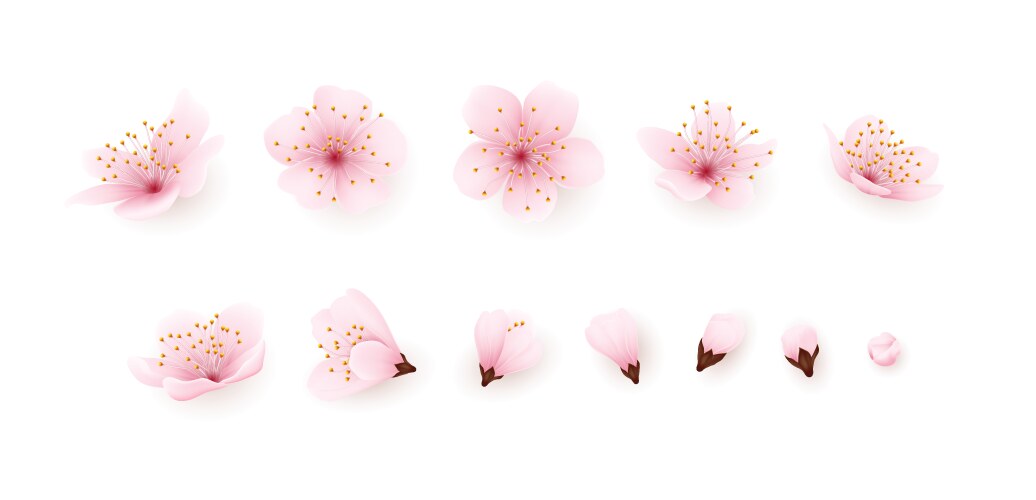 Soft Pink Flowers Vector Images (over 6,900)
