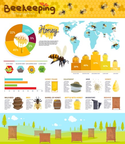 Spices infographic with herb and seasoning charts Vector Image