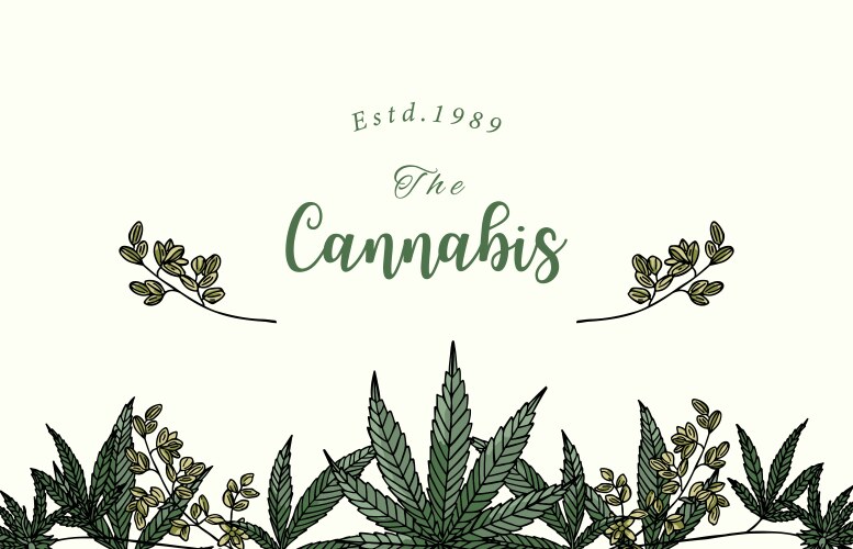Frame Marijuana Background Vector Images (over 270)