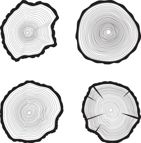Tree Rings Vector Images (over 12,000)