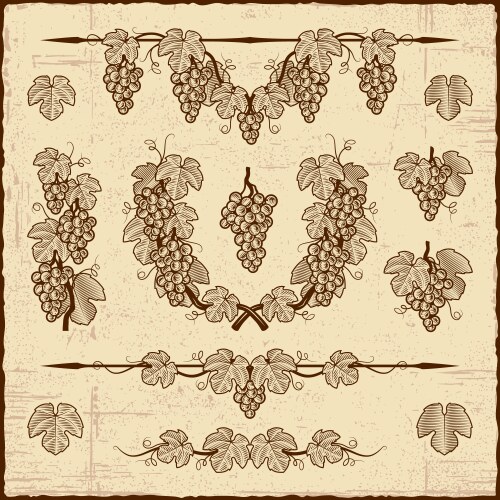 Grapes Vineyard Vector Images (over 22,000)