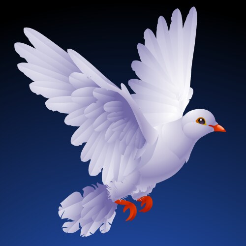 Dove Vector Images (over 60,000)