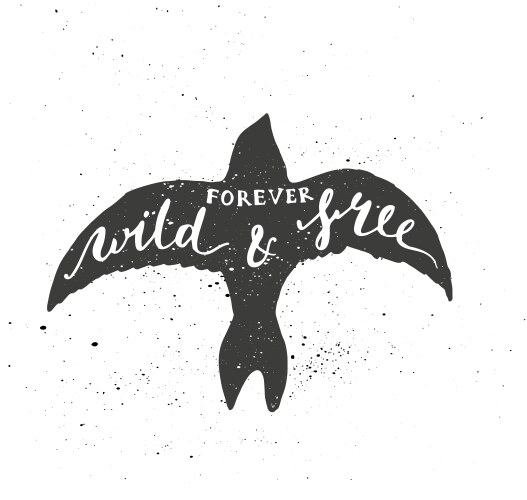 Texas forever Royalty Free Vector Image - VectorStock