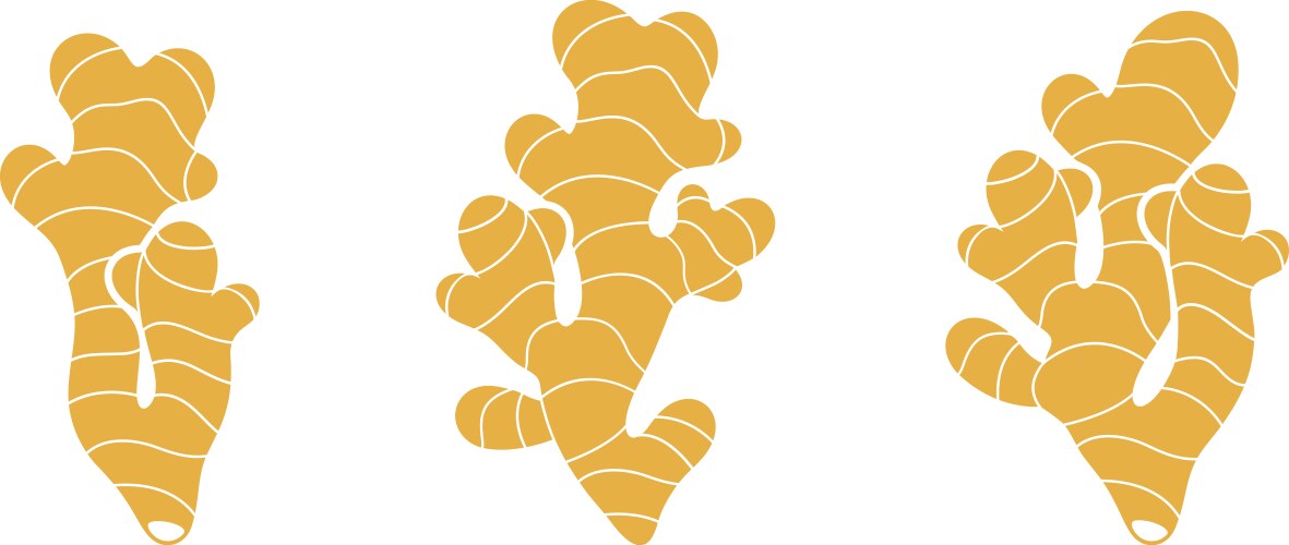 Ginger Royalty Free Vector Image - VectorStock