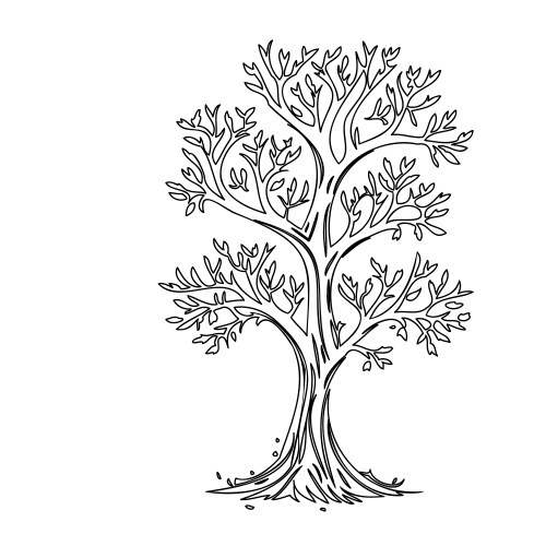 Maple tree nature outline sketch Royalty Free Vector Image