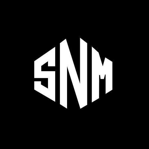 Snm logo letter design Royalty Free Vector Image