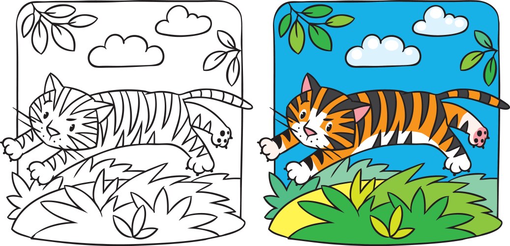 Sumatran Tiger Coloring Page – Royalty-Free Vector | VectorStock