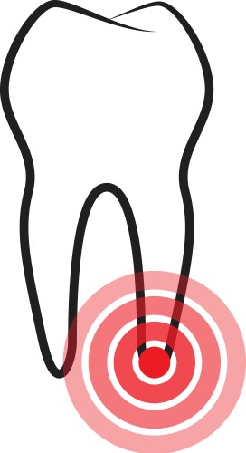 Tooth isolate on white Royalty Free Vector Image