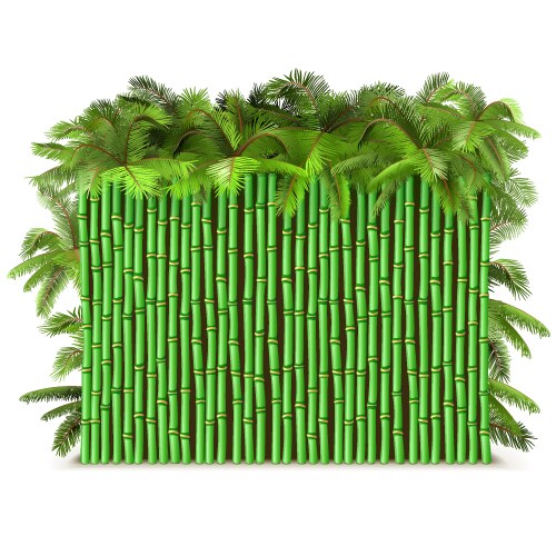 Bamboo Palm Vector Images (over 1,500)