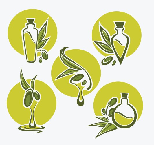 Olive oil symbols Royalty Free Vector Image - VectorStock