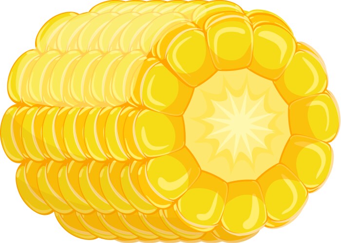 Corn maize set cartoon Royalty Free Vector Image