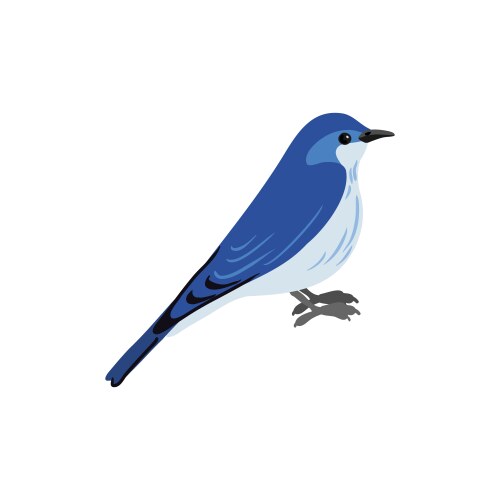 Drawing mountain bluebird Royalty Free Vector Image